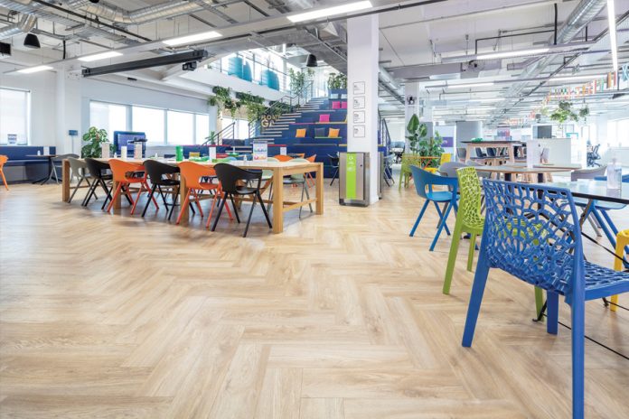 ‘Adding a homely feel’ to SKA gold-rated offices | CFJ