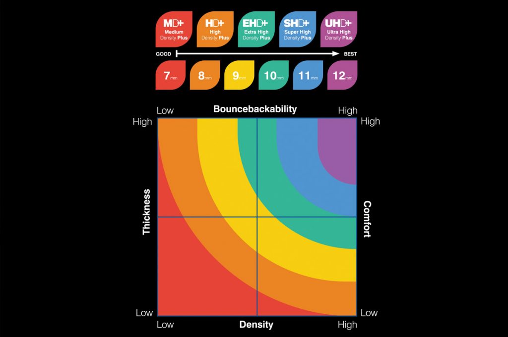 ‘Start out right with bouncebackability’ | CFJ